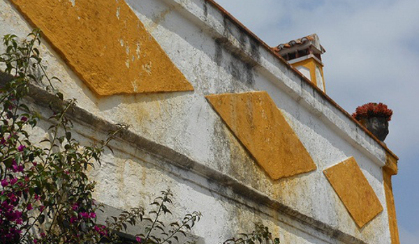 How to get rid of mould and mildew on your walls