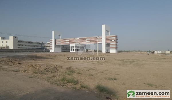 Things to look out for when buying a plot