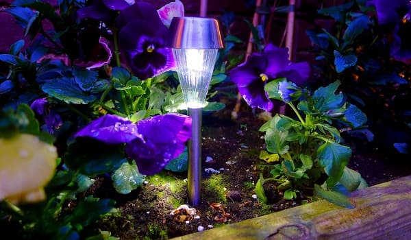 Creating a sustainable landscape for your home