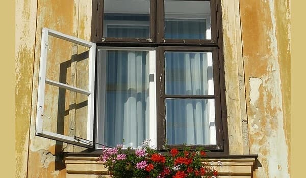 Interior choices to improve indoor air quality