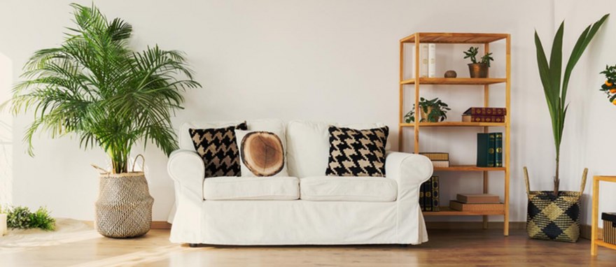 Tips on How to Create Monochromatic Home Interior | Zameen Blog