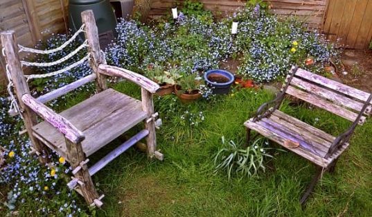 How to build a small garden