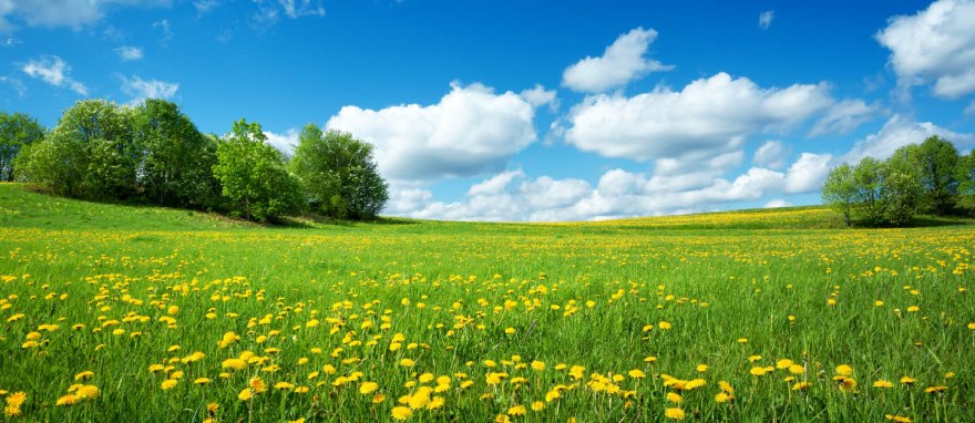 Most Celebrated Spring Festivals in Pakistan | Zameen Blog