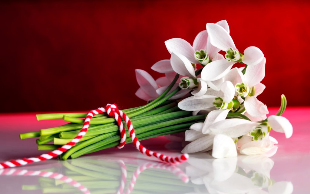 Celebration of Love Around the World | Zameen Blog