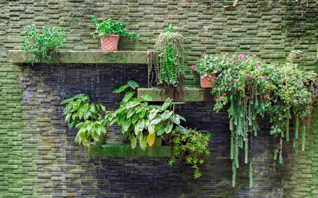 Tips on Setting Up a Vertical Garden in Your Home | Zameen Blog