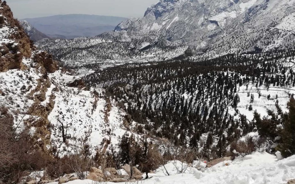 Travel Guide for Taking a Trip to Ziarat | Zameen Blog