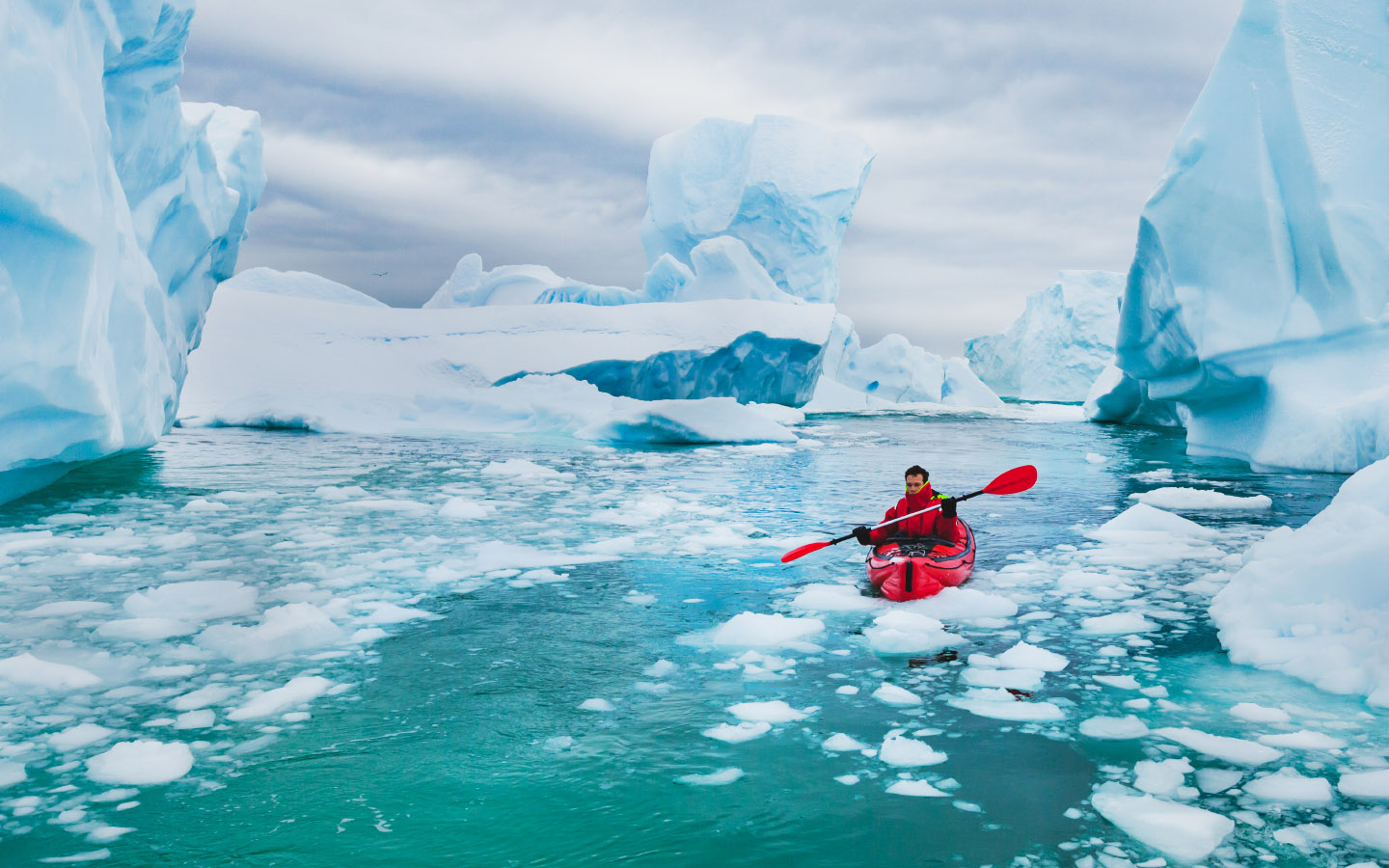 Visit Antarctica: The Most Adventurous Holiday Destination | Zameen Blog