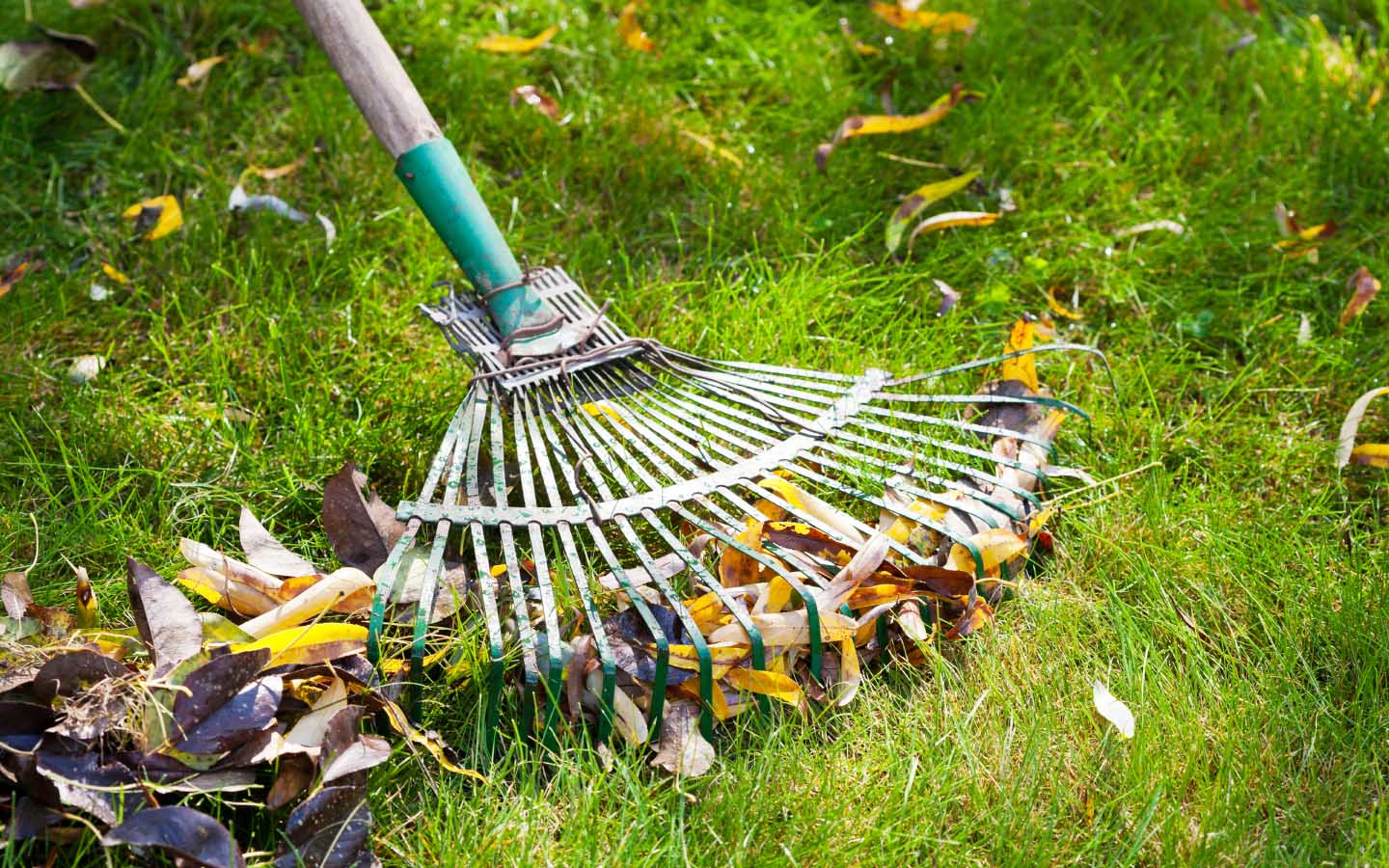8 Tips to Prepare Your Front Lawn for Spring | Zameen Blog