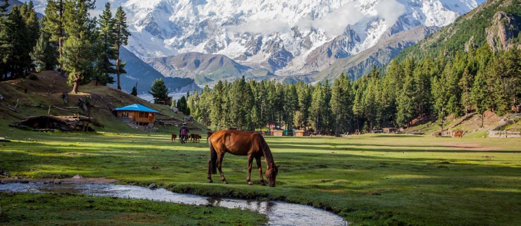 Places to Visit in Pakistan in 2019: Chitral, Hunza & More! | Zameen Blog