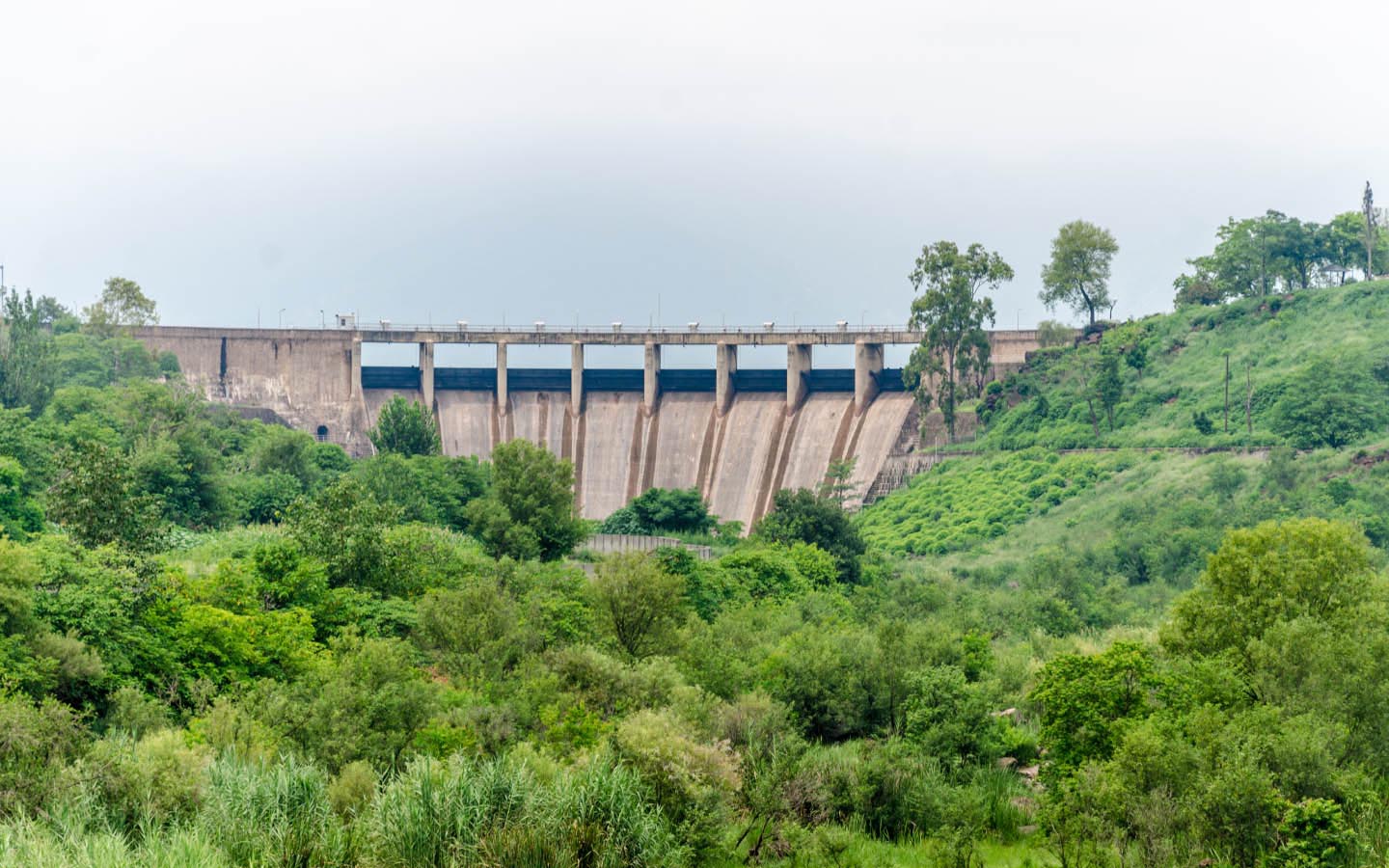 Exploring The Incredible Wildlife of Pakistan | Zameen Blog