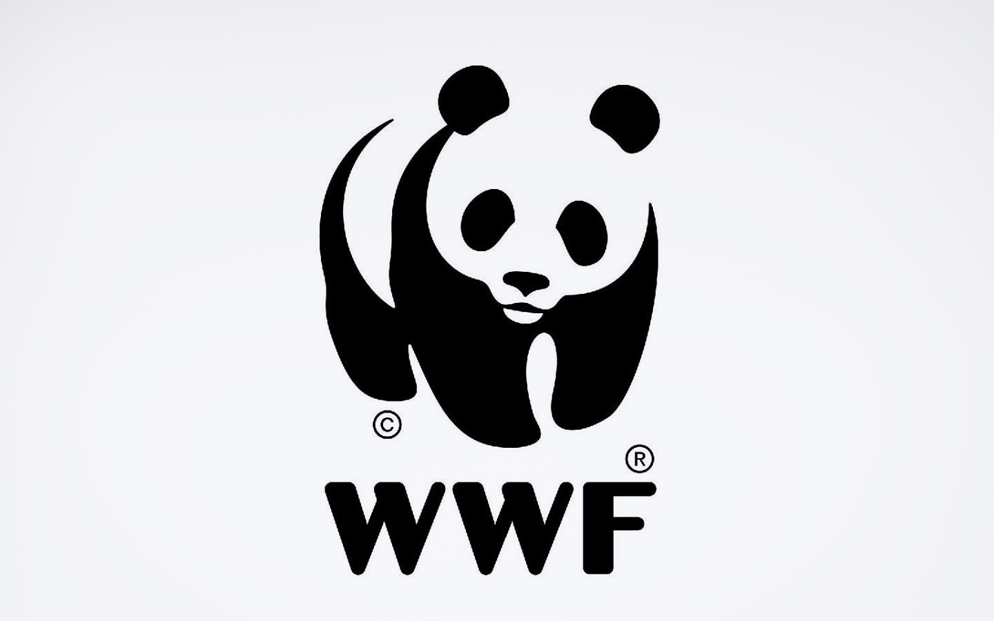 Exploring The Incredible Wildlife of Pakistan | Zameen Blog