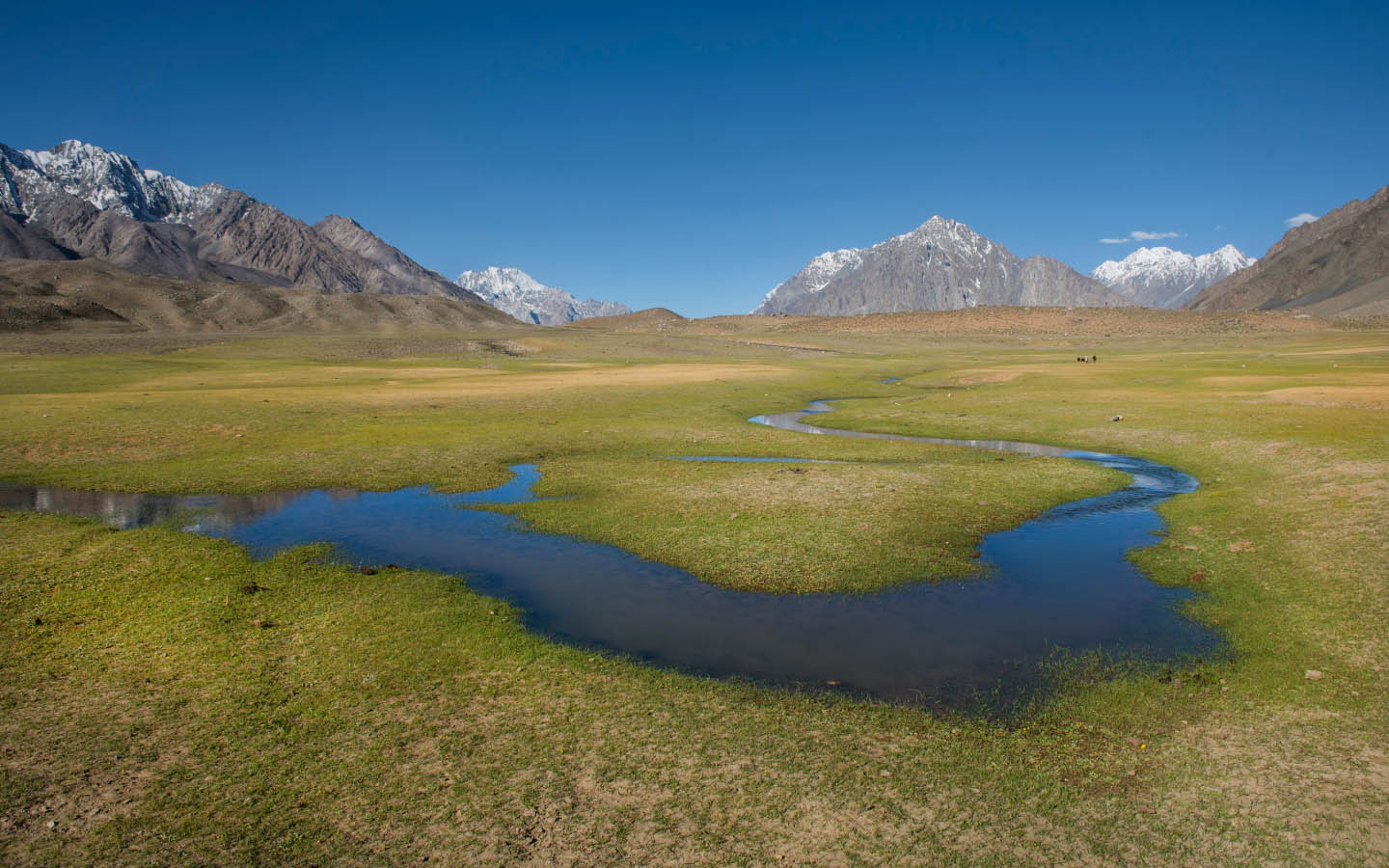 Shandur Polo Festival in Chitral: An Overview | Zameen Blog