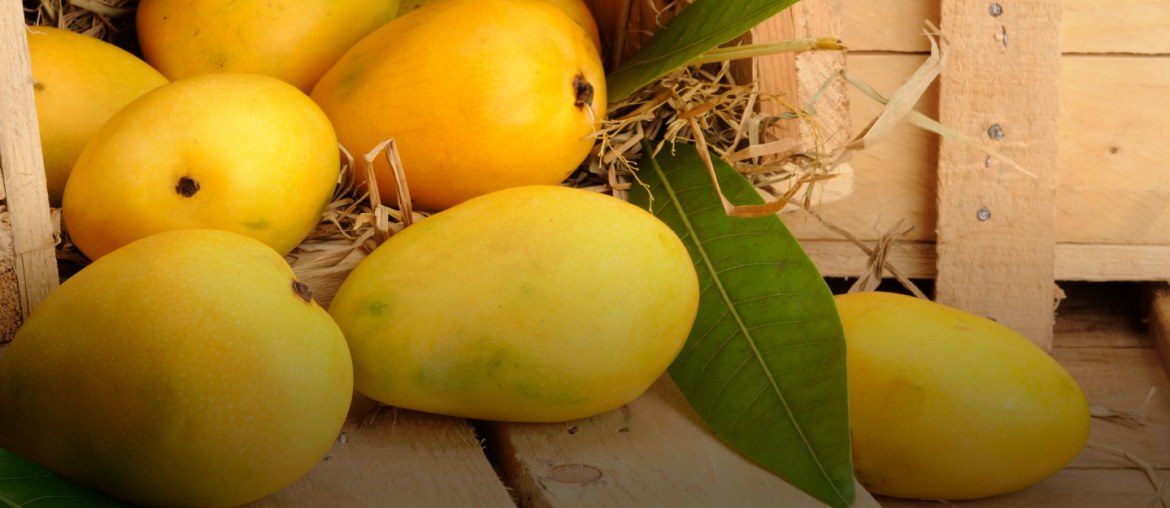 Mangoes in Pakistan: Varieties, Production & Export | Zameen Blog