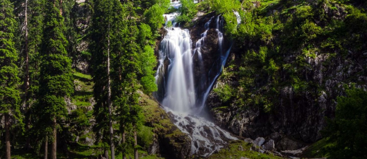 What Can You do to Live in a Clean and Green Pakistan? | Zameen Blog