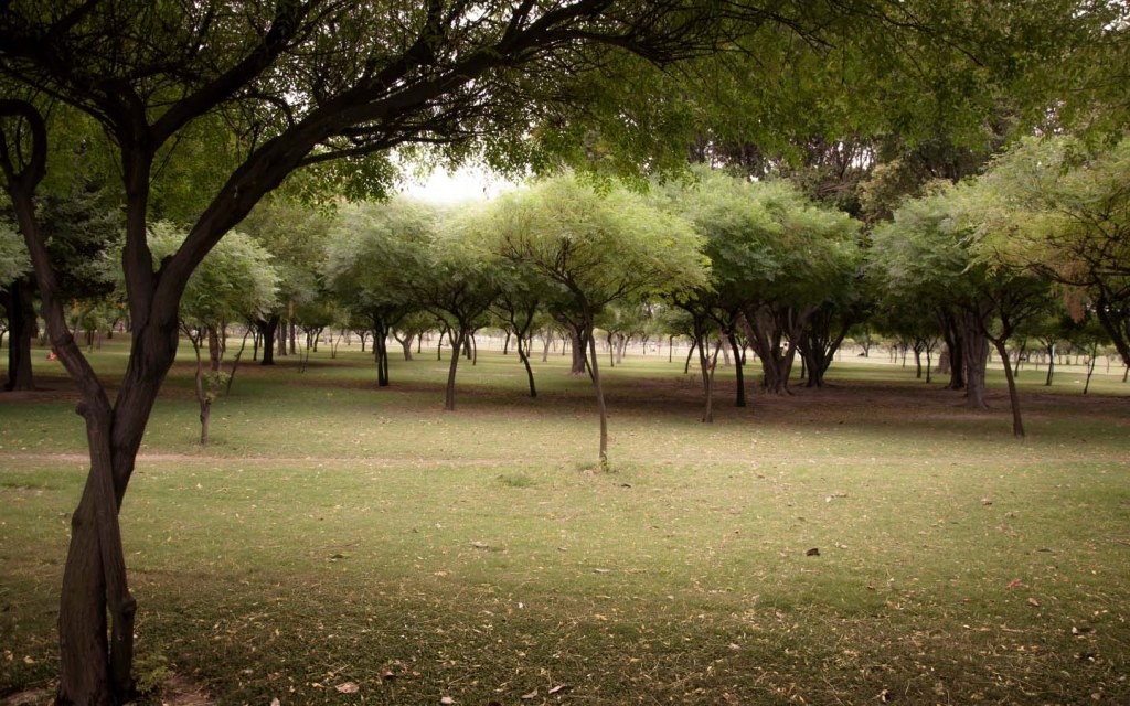 6 Most Famous Parks in Lahore: Location, Timings & More! | Zameen Blog