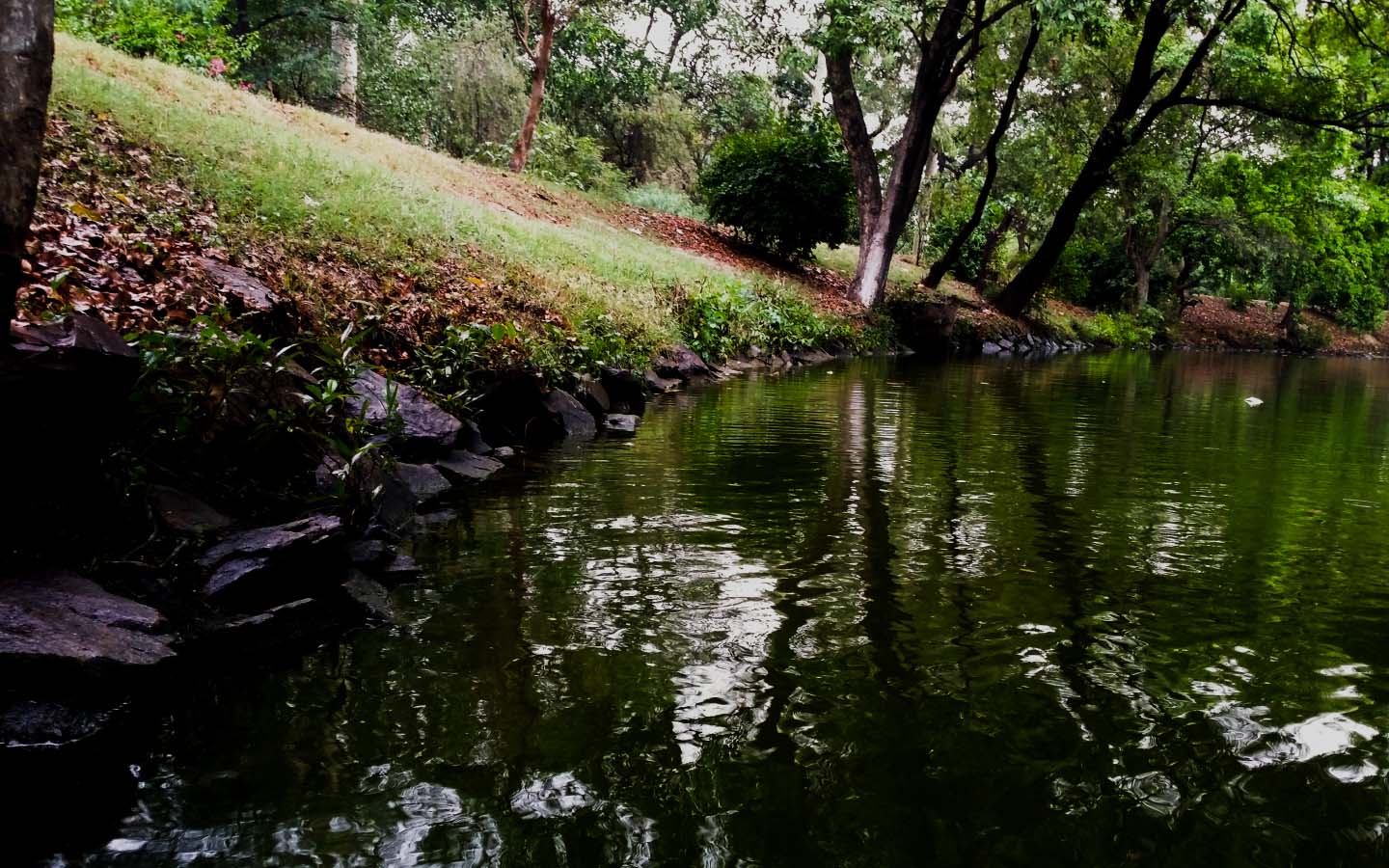 6 Most Famous Parks in Lahore: Location, Timings & More! | Zameen Blog