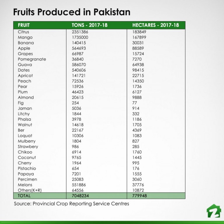 Popular Fruits in Pakistan: Kinnow, Dates, Mangoes & More | Zameen Blog