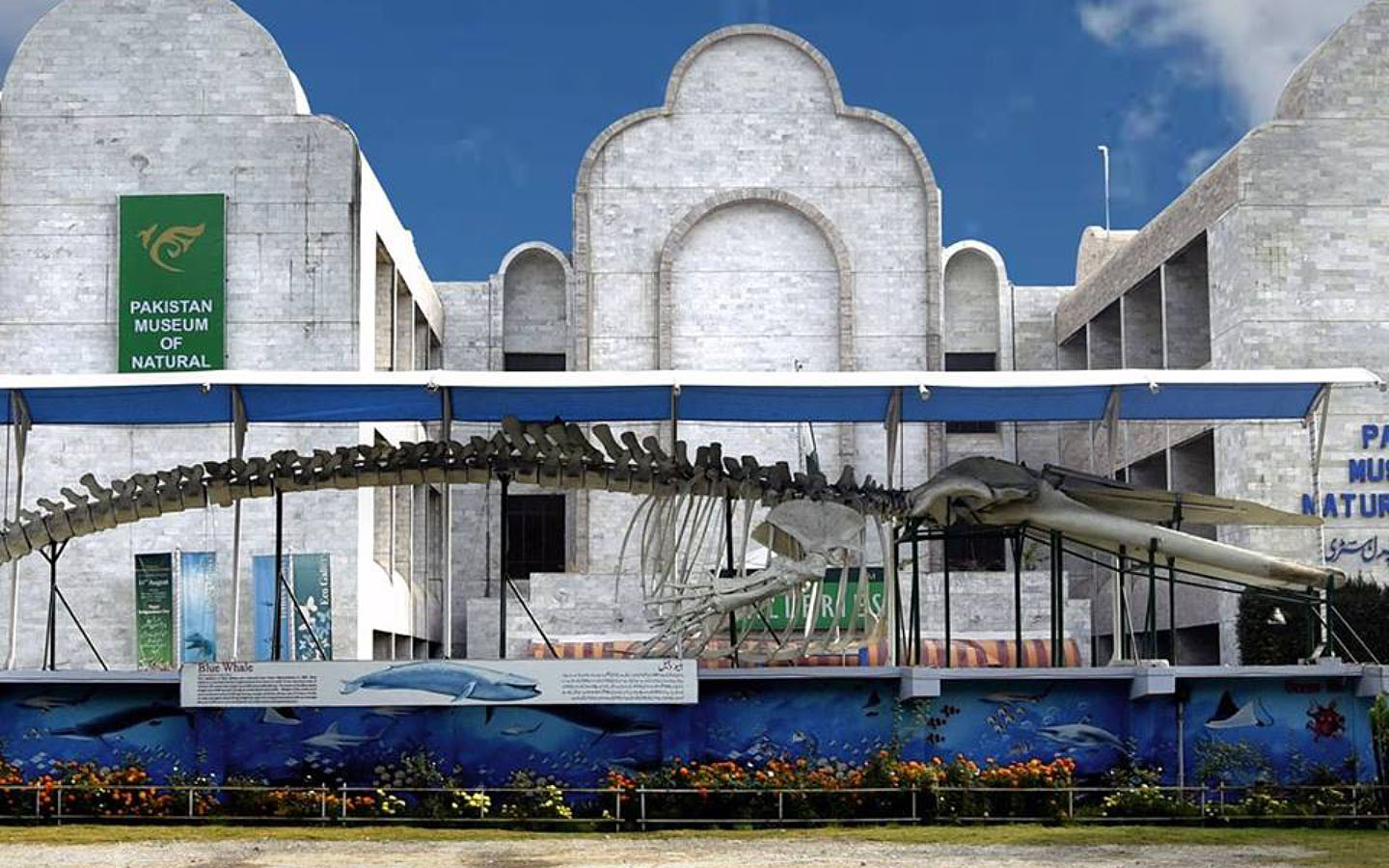 Best Museums in Islamabad: Location, Timings & More | Zameen Blog