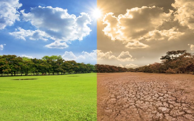 Environmental Issues in Pakistan and Tips to Solve Them | Zameen Blog