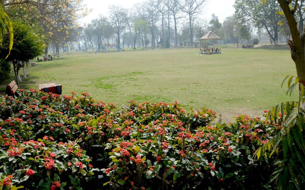 Some Interesting Facts about the Changa Manga Forest | Zameen Blog