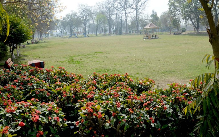 Some Interesting Facts about the Changa Manga Forest | Zameen Blog