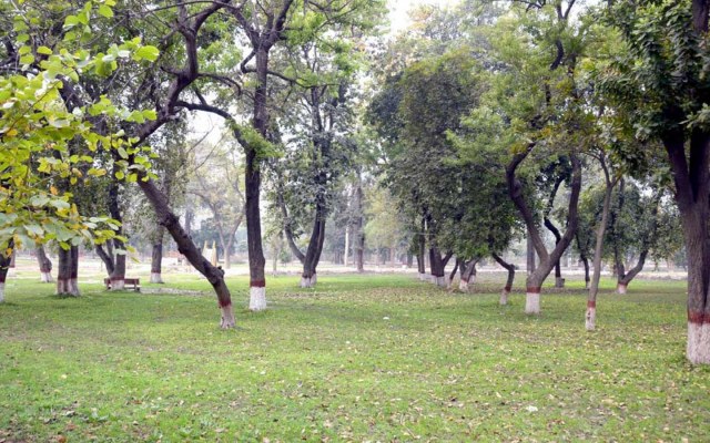 Some Interesting Facts about the Changa Manga Forest | Zameen Blog