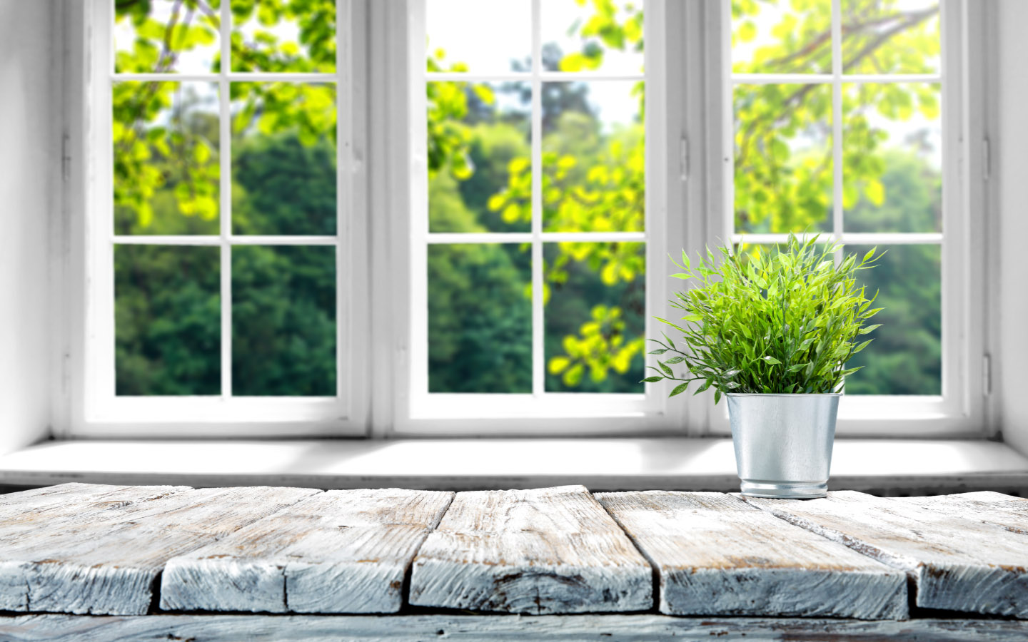 Best Placement of Windows in a House | Zameen Blog