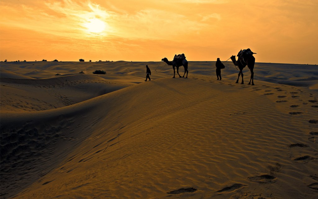Famous Deserts of Pakistan: Thar, Cholistan, Thal & More | Zameen Blog