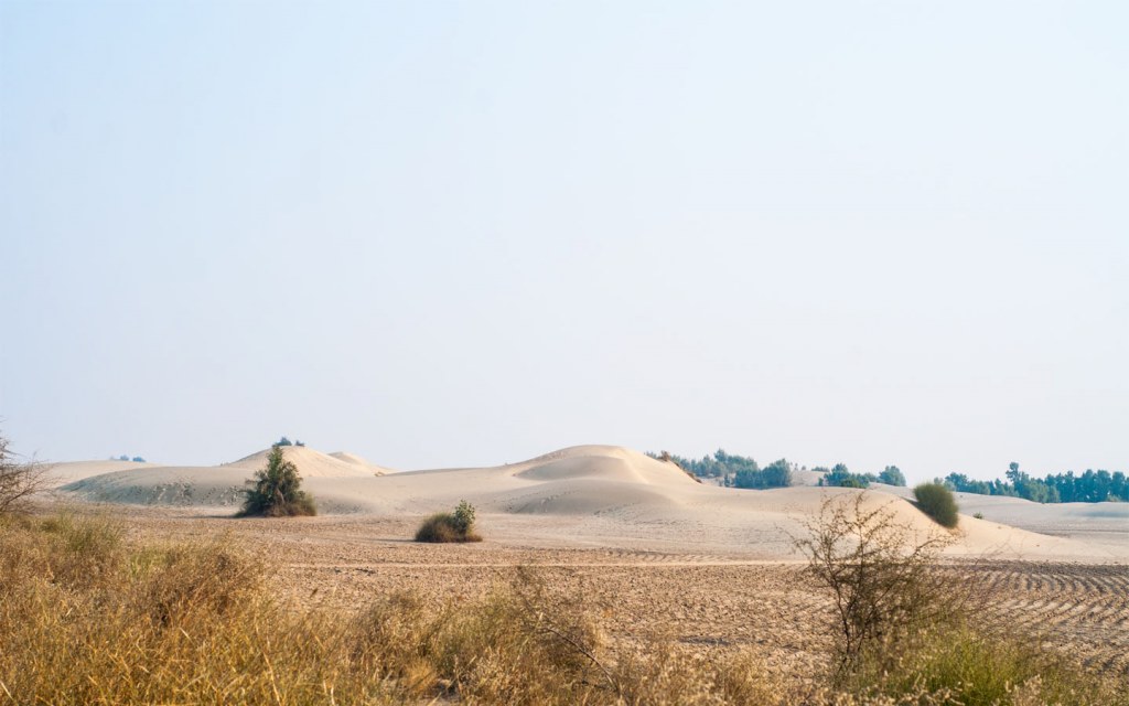 Famous Deserts of Pakistan: Thar, Cholistan, Thal & More | Zameen Blog