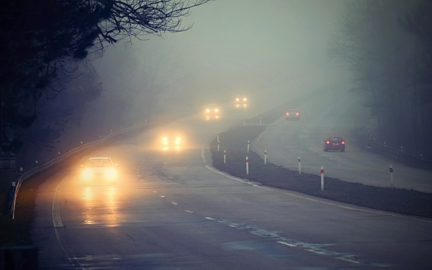 Road Safety Tips for Driving in Fog | Zameen Blog