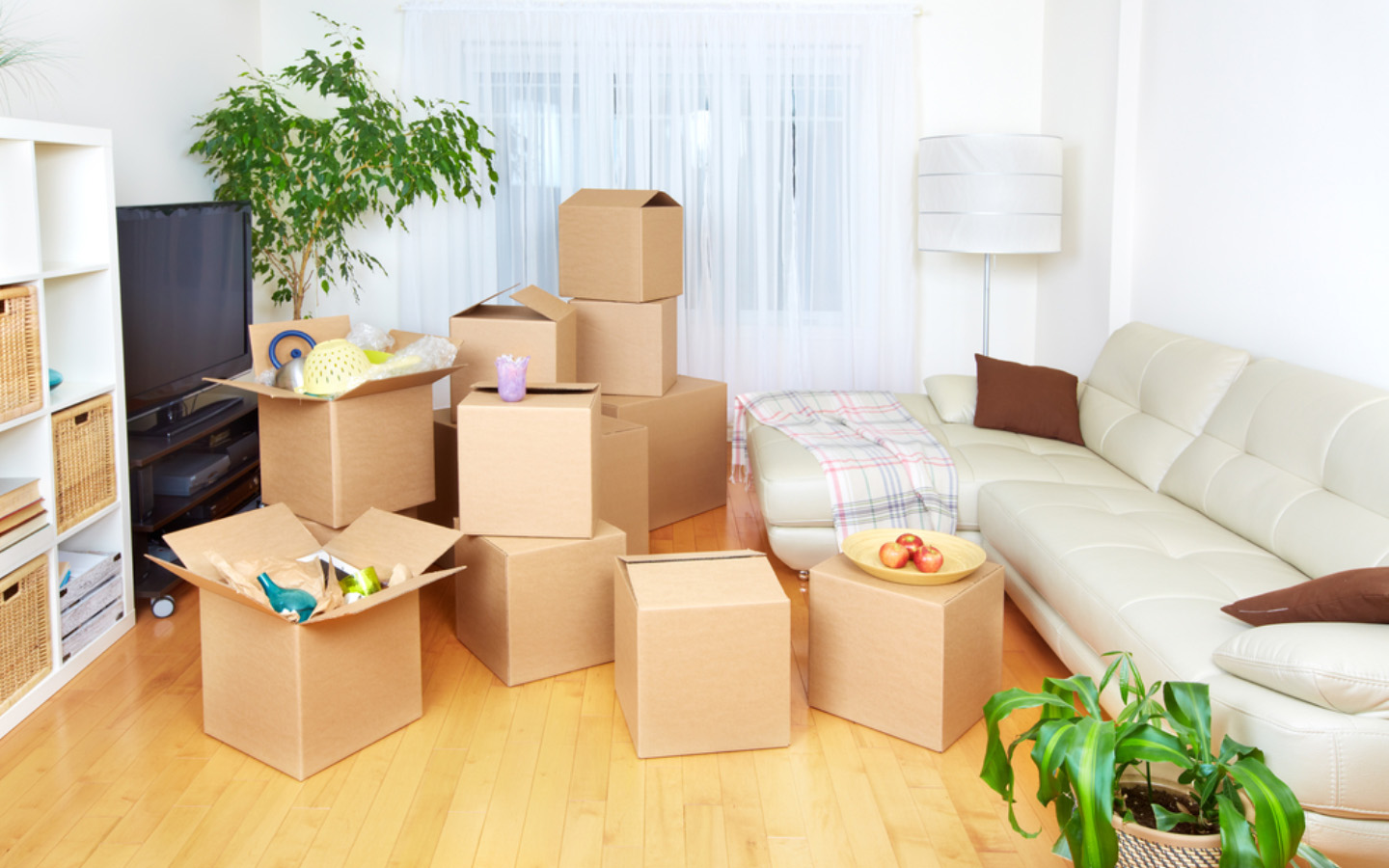 Top Tips for Unpacking After a Move | Zameen Blog
