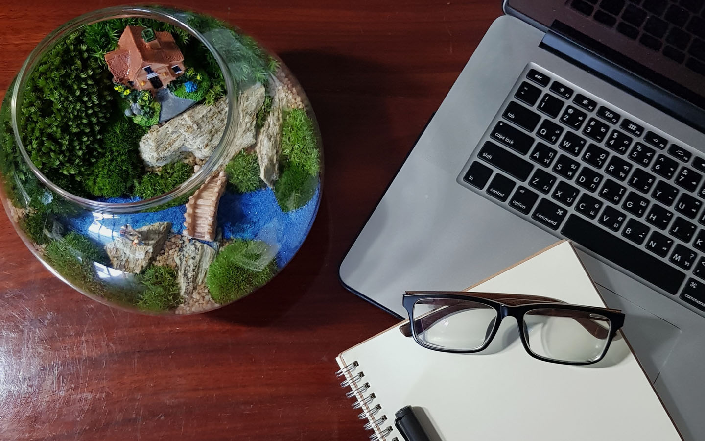 How to Build a Terrarium on Your Own | Zameen Blog