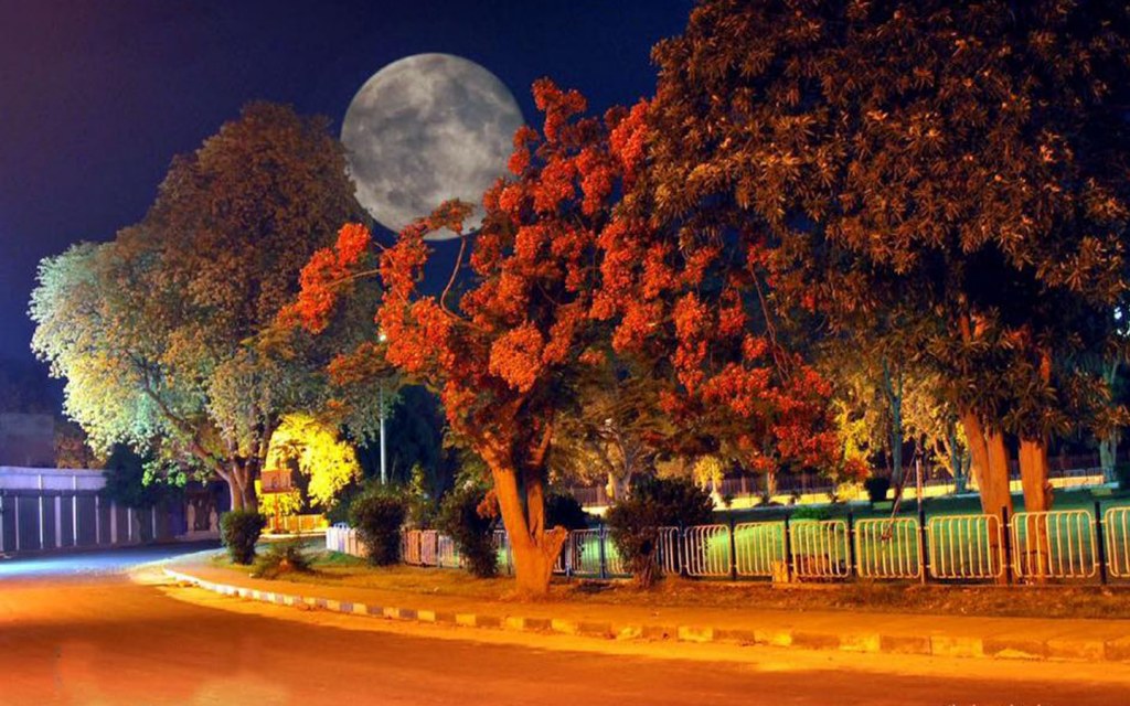 Visiting Kharian – The Little Norway of Pakistan | Zameen Blog