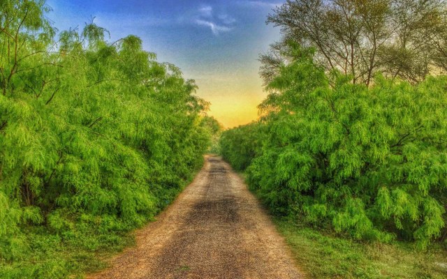 Visiting Kharian – The Little Norway of Pakistan | Zameen Blog