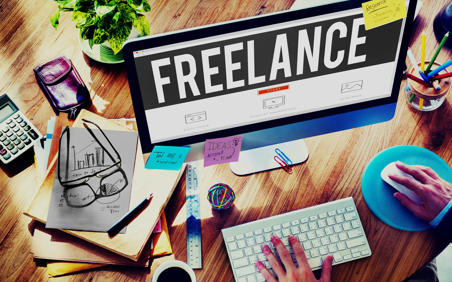 How to Apply for the e-Rozgaar Programme | Zameen Blog