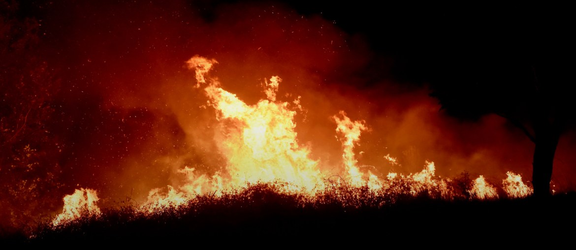 Major Causes of Bushfires, Global Impact & Much More | Zameen Blog