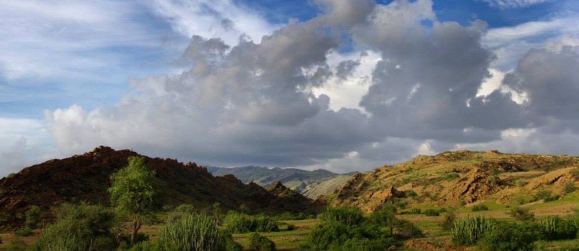 Kirthar National Park, Sindh: Complete Traveller’s Guide | Zameen Blog