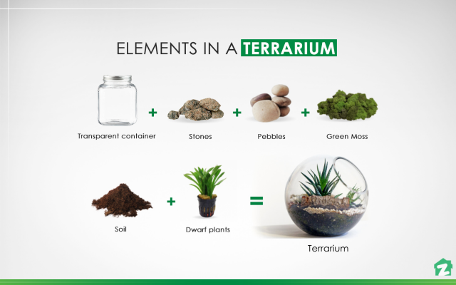 How to Build a Terrarium on Your Own | Zameen Blog