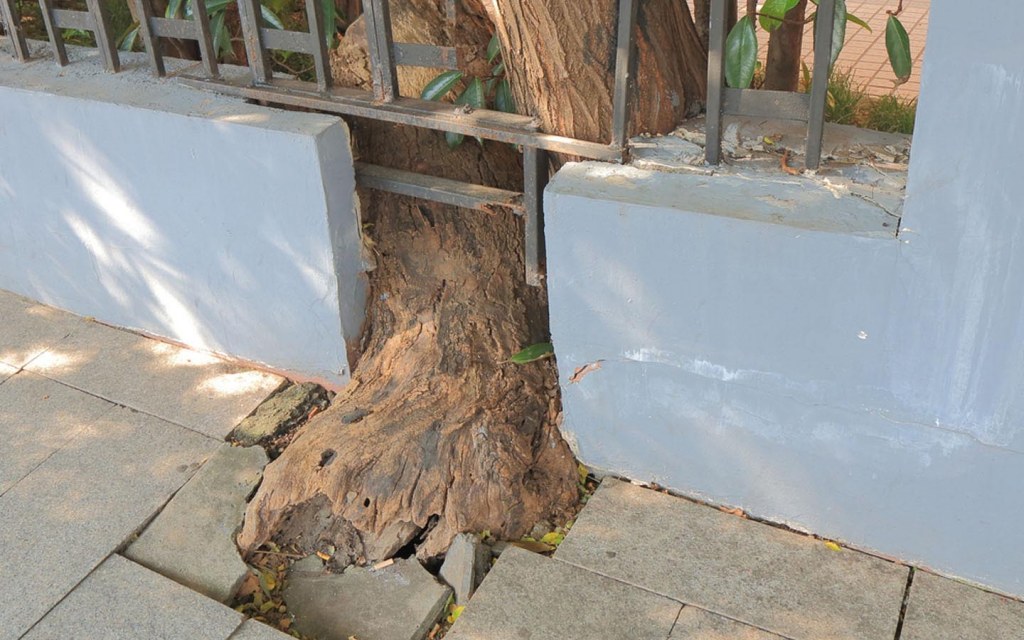 Maintain the Foundations of Your House with These Tips | Zameen Blog