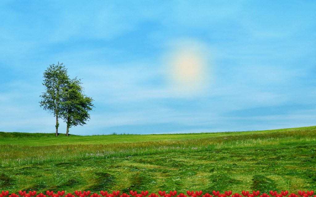 Definition and Basic Types of Land in Pakistan | Zameen Blog