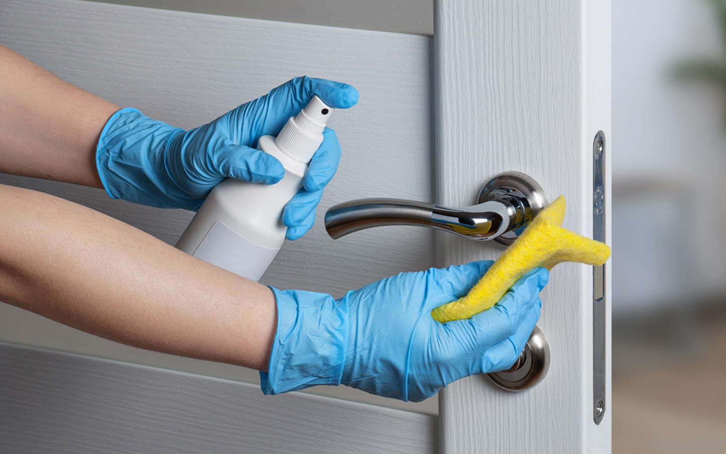 Best Natural Disinfectants and Deodorizers | Zameen Blog