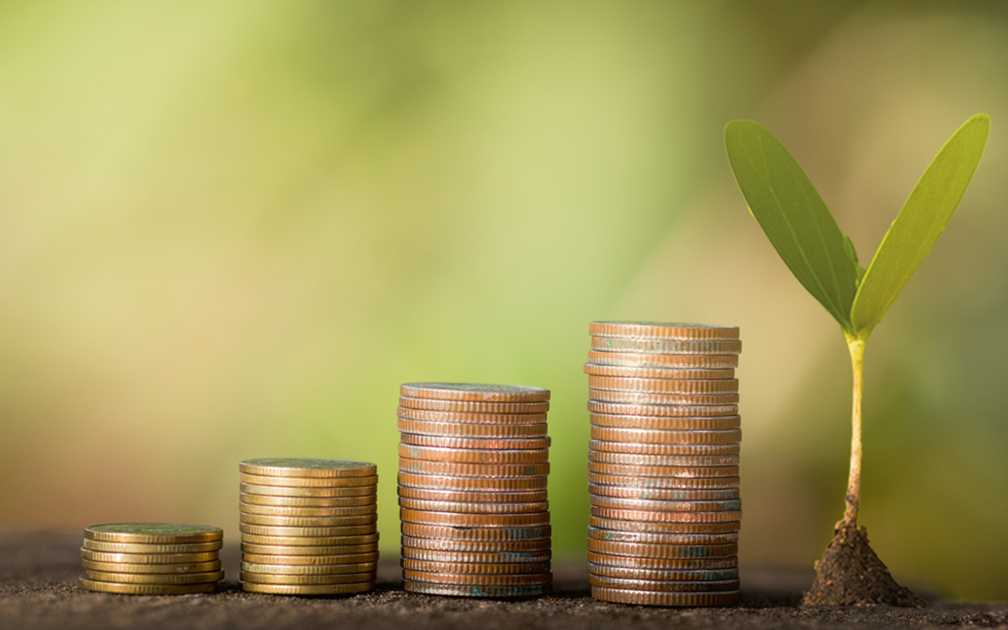 Agri Financing in Pakistan: FAQs, Types, Eligibility & More | Zameen Blog