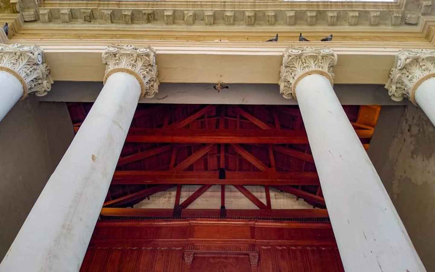 Sindh Wildlife Museum: Location, Timings & More | Zameen Blog