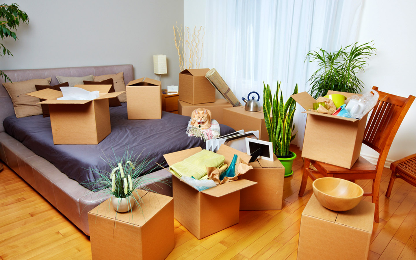 Here’s the Right Order of Unpacking After a Move | Zameen Blog