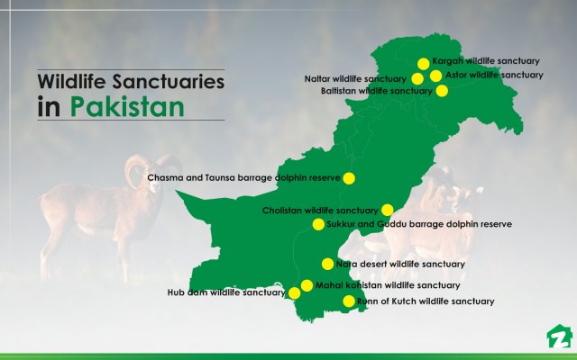 Wildlife Sanctuaries in Pakistan: Location, Species & More | Zameen Blog