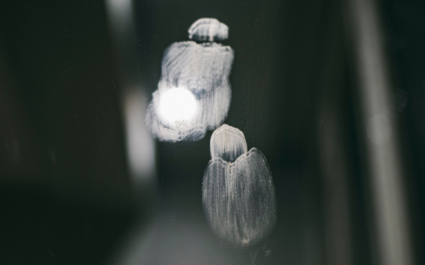 Best Tips to Clean Mirrors Around the House | Zameen Blog