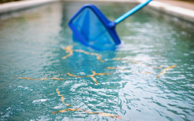 DIY Ways to Clean and Maintain Your Pool | Zameen Blog