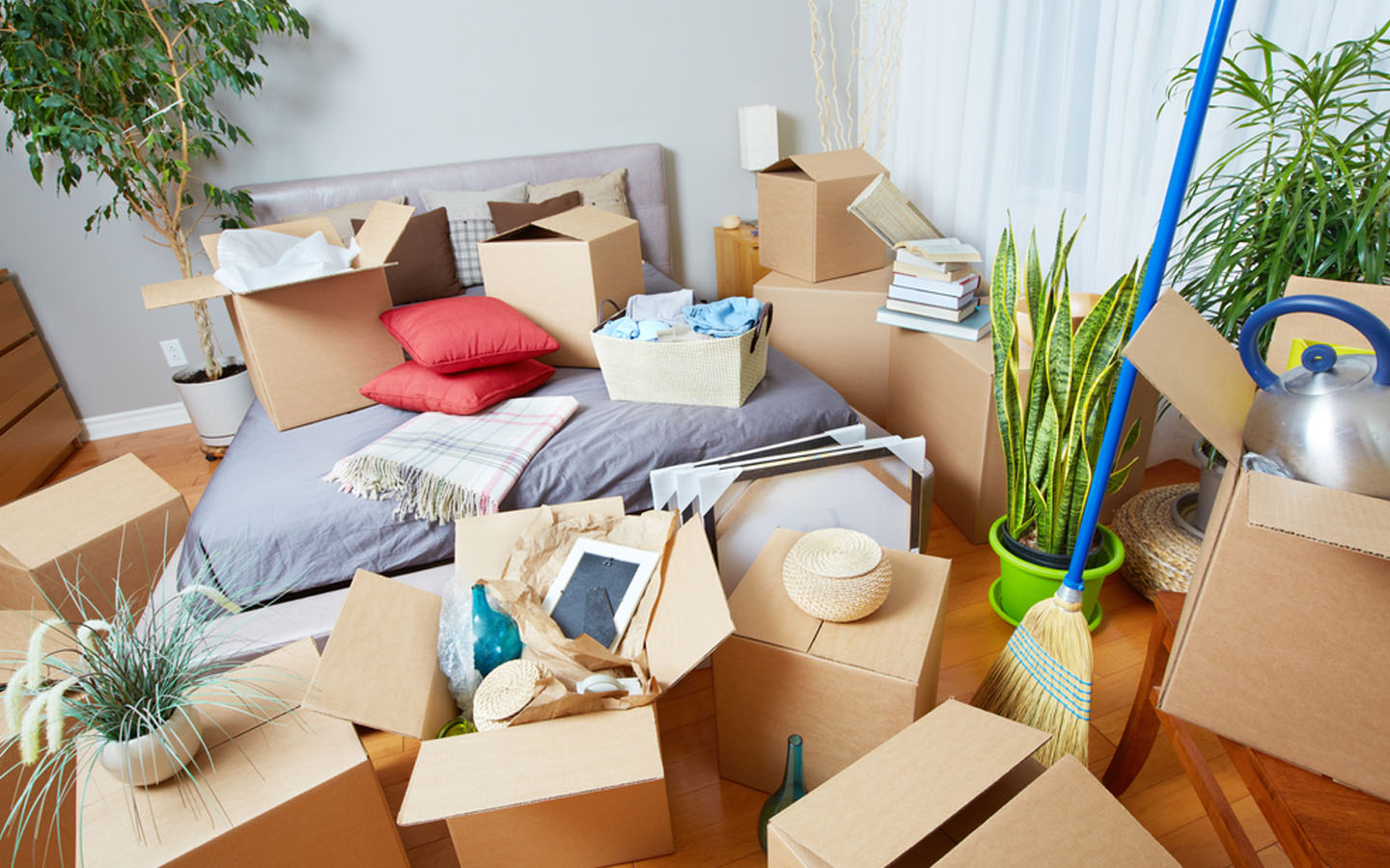Order of Packing for a Move Room by Room | Zameen Blog