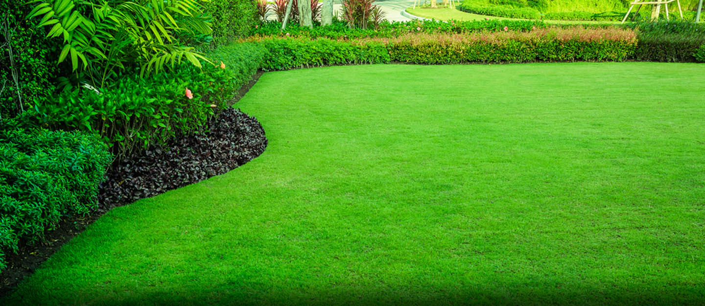 Lawn Maintenance Tips Tools Importance Zameen Blog