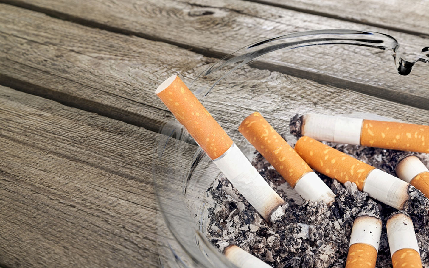 List of Questions to Ask Potential Roommates | Zameen Blog